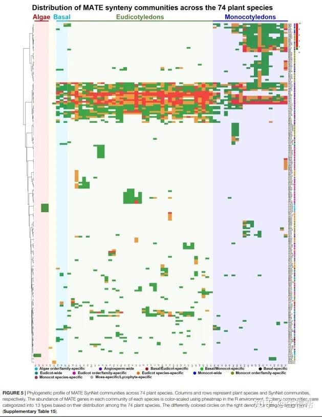 【大规模物种】74个植物MATE基因家族进化分析 - 知乎