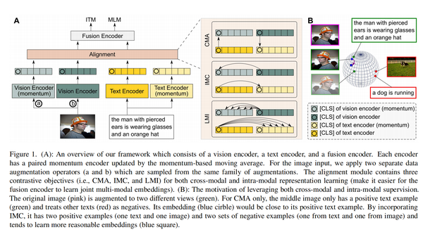 Vision-Language Pre-Training with Triple Contrastive Learning - 知乎