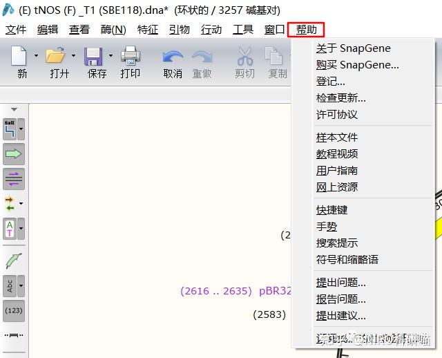 超详细的保姆级SnapGene软件应用汇总，建议收藏备用！！！ - 知乎
