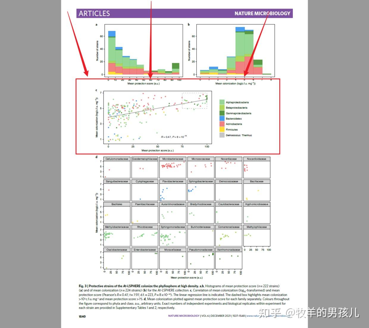 跟着Nature Microbiology学作图：R语言ggplot2做散点图添加拟合曲线和p值 - 知乎