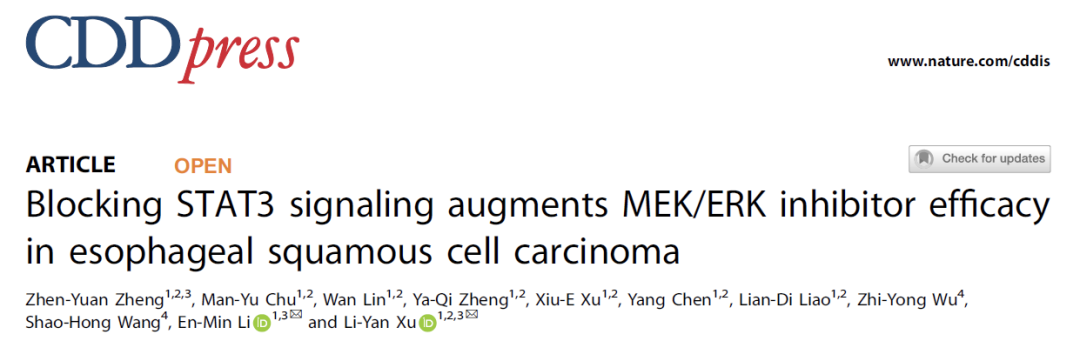 Cell Death Dis︱李恩民/许丽艳课题组发现阻断STAT3信号通路可增强MEK抑制剂在食管鳞癌治疗的有效性 - 知乎