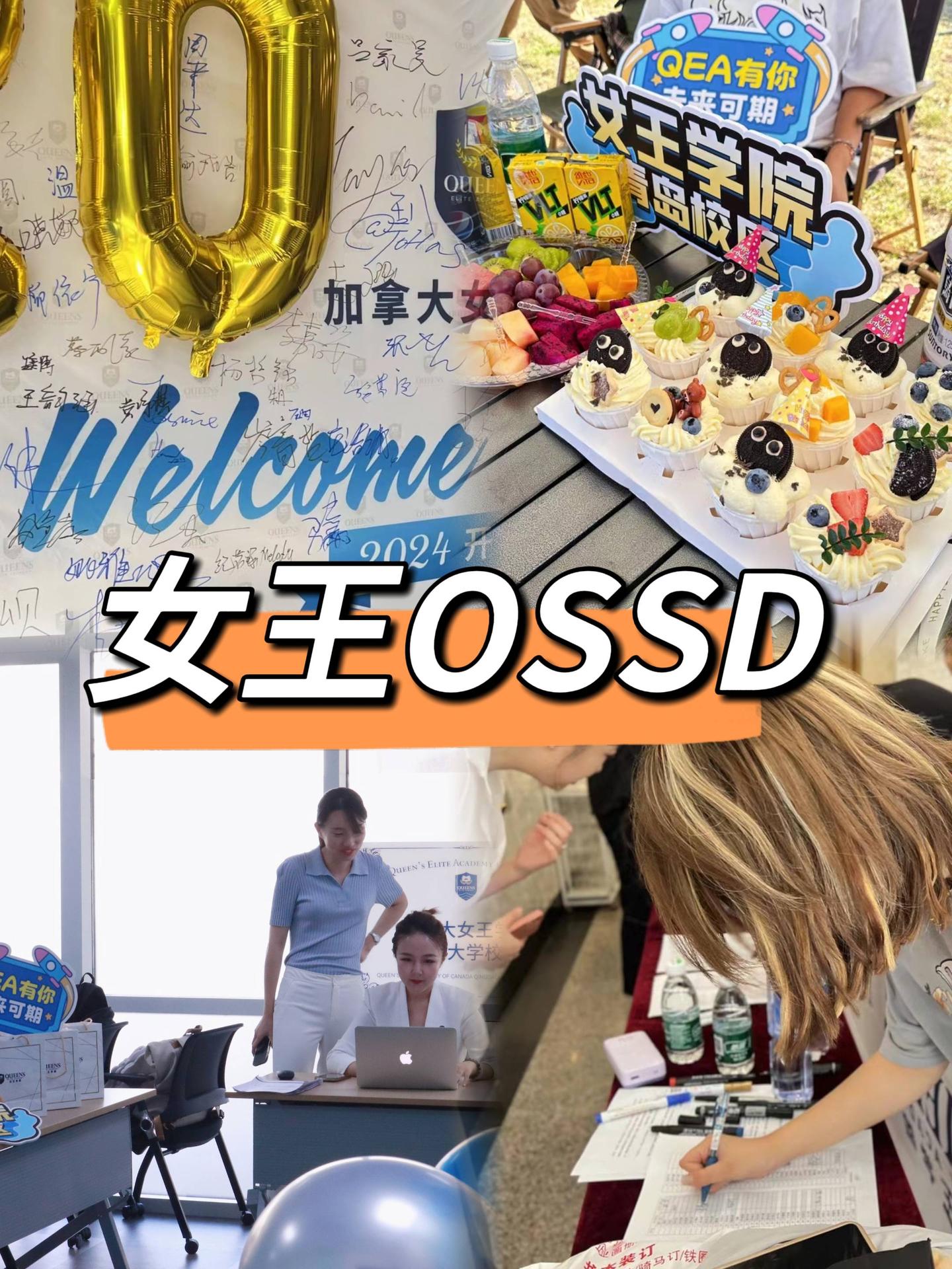 【女王OSSD——真实案例分享（自学转女王OSSD）】 - 知乎