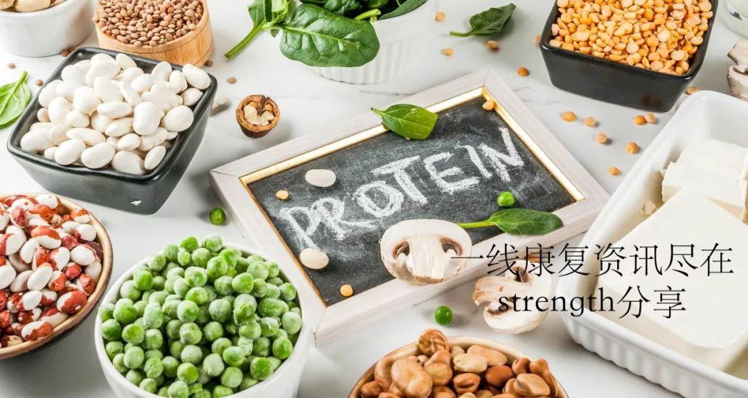 关于蛋白质——这一篇就真的足够了 - 知乎