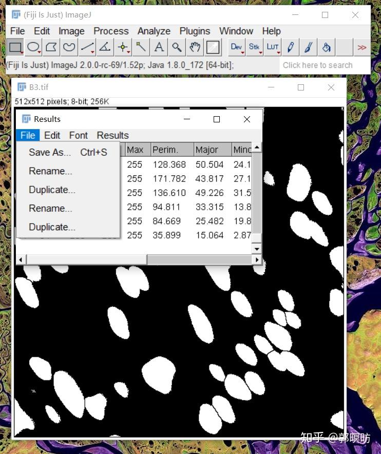 ImageJ使用心得之Particle Analysis （二） - 知乎