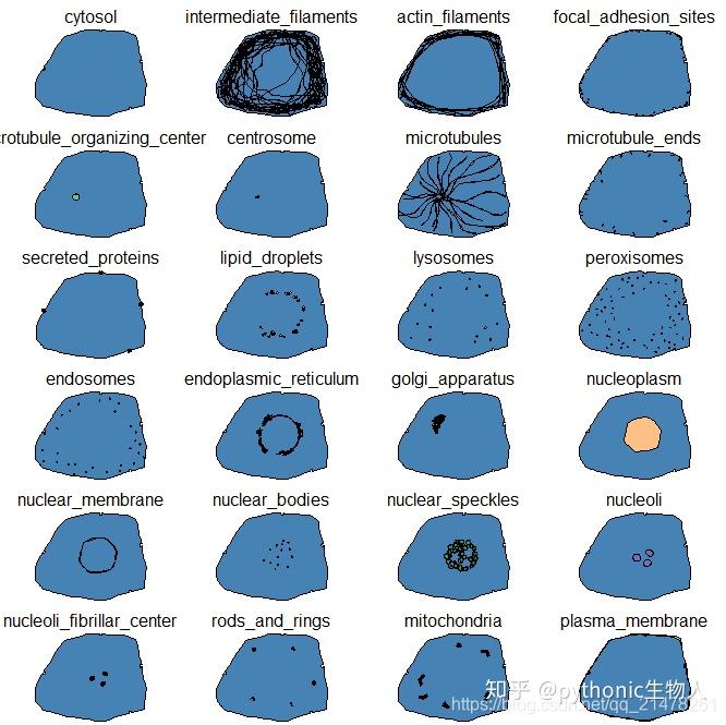 R可视化15|27种常见物种解剖图轻松绘制 - 知乎