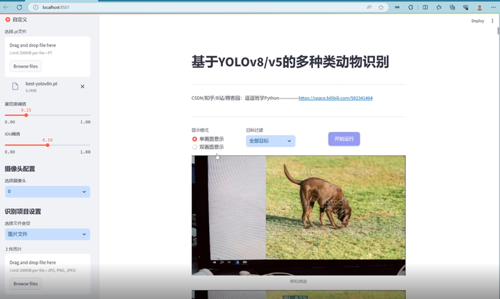 基于深度学习的多种类动物识别系统（网页版+YOLOv8/v7/v6/v5代码+训练数据集） - 知乎