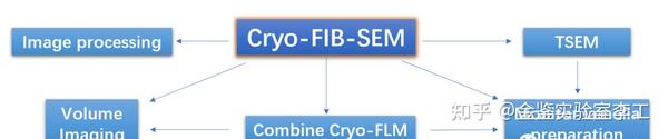 冷冻聚焦离子束-扫描电镜成像技术（Cryo-FIB-SEM）研究进展 - 知乎