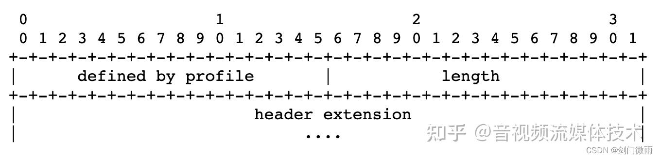 RTP封包 - CNHK19 - 博客园