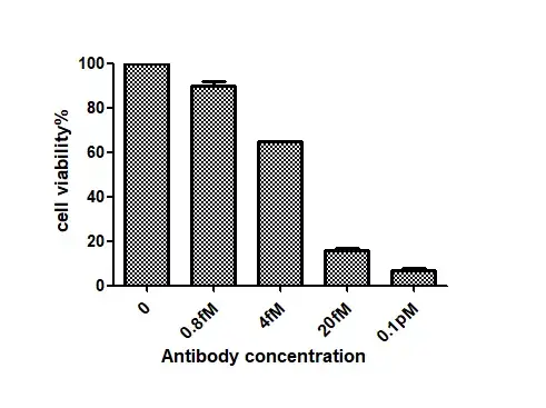 K562-CD19-GFP单克隆细胞系与CD3-CD19（BiTE双抗） - 知乎