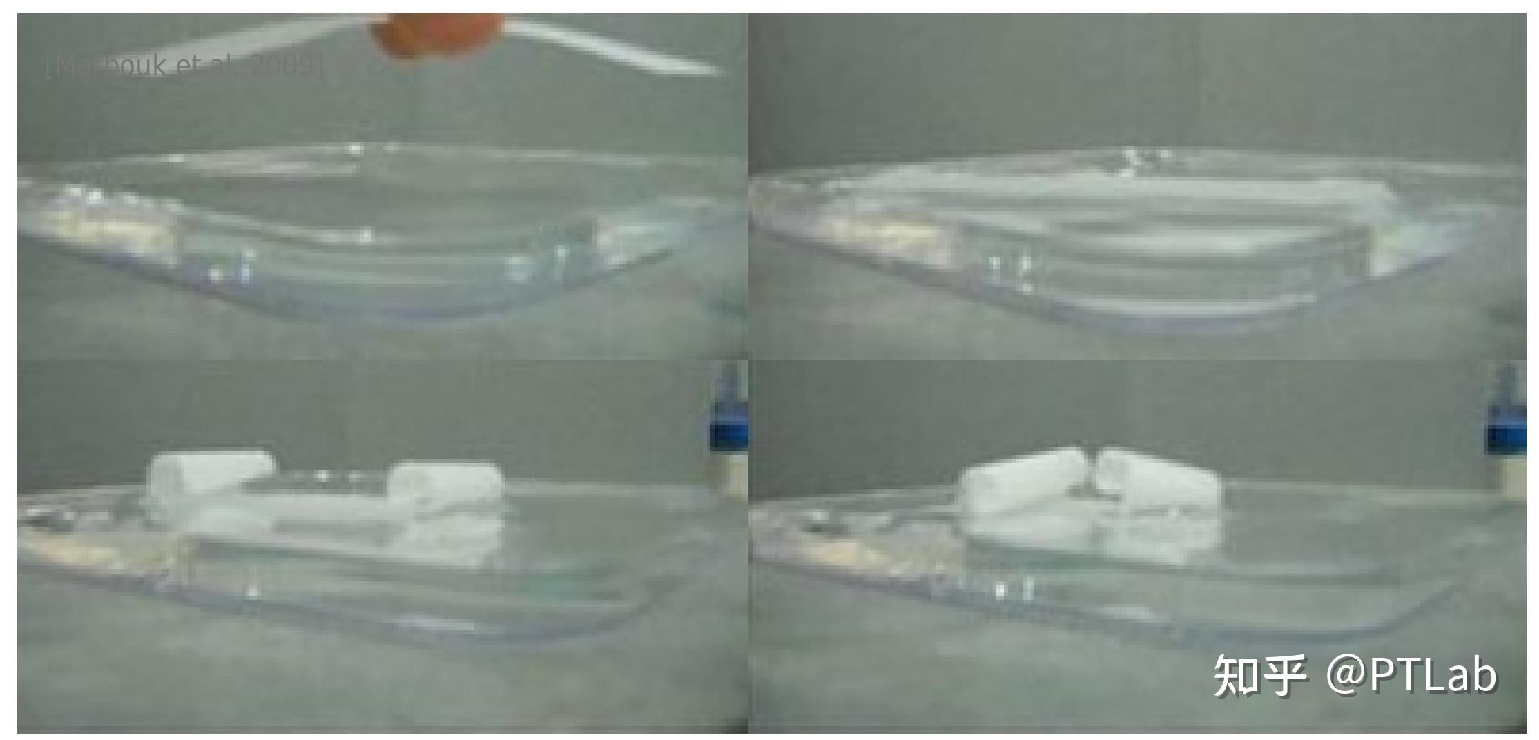 IYPT CUPT 2024 全网最全资料免费分享 - 知乎