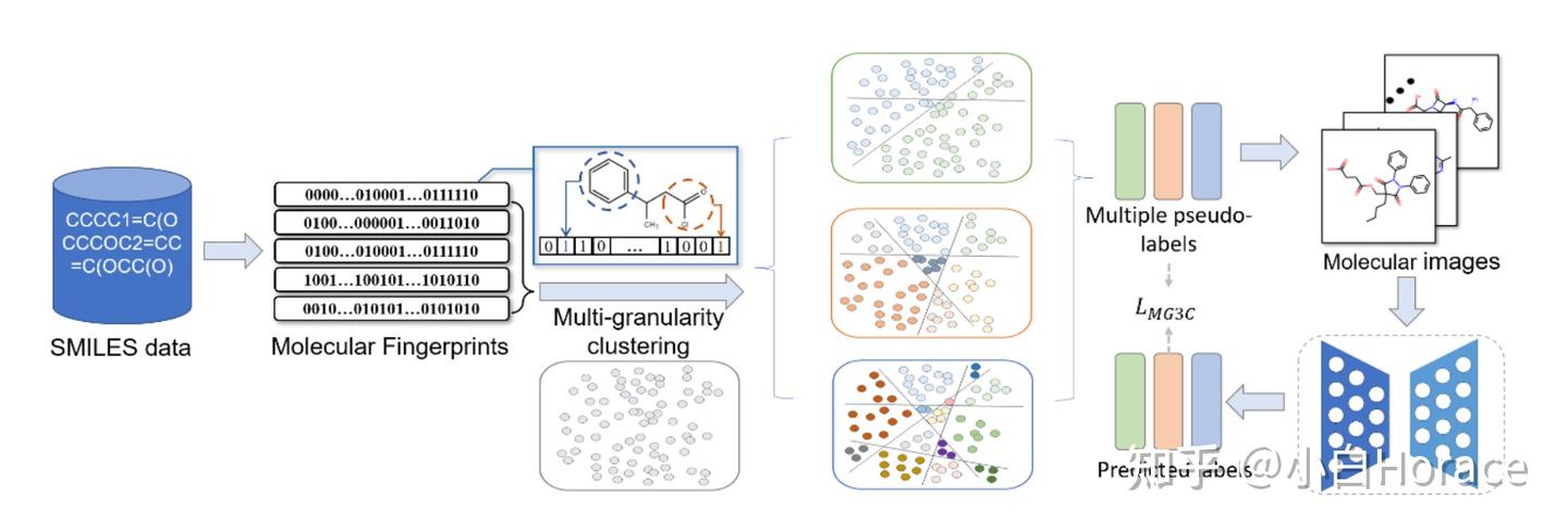 【AIDD系列】ImageMol论文精读 - 知乎