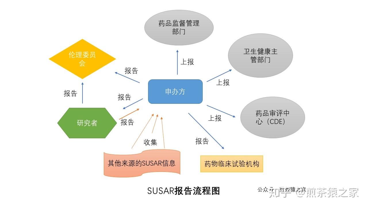 关于AE和SUSAR在新版GCP下如何认识和上报的浅析 - 知乎