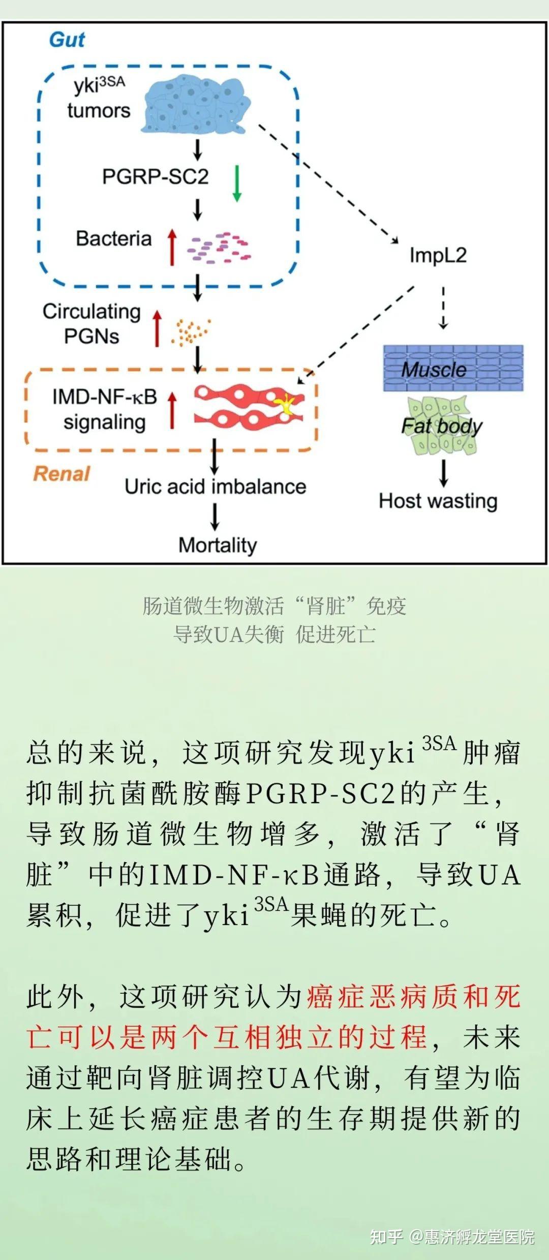 《nature》子刊：破解癌细胞“老而不死”之谜！ 知乎