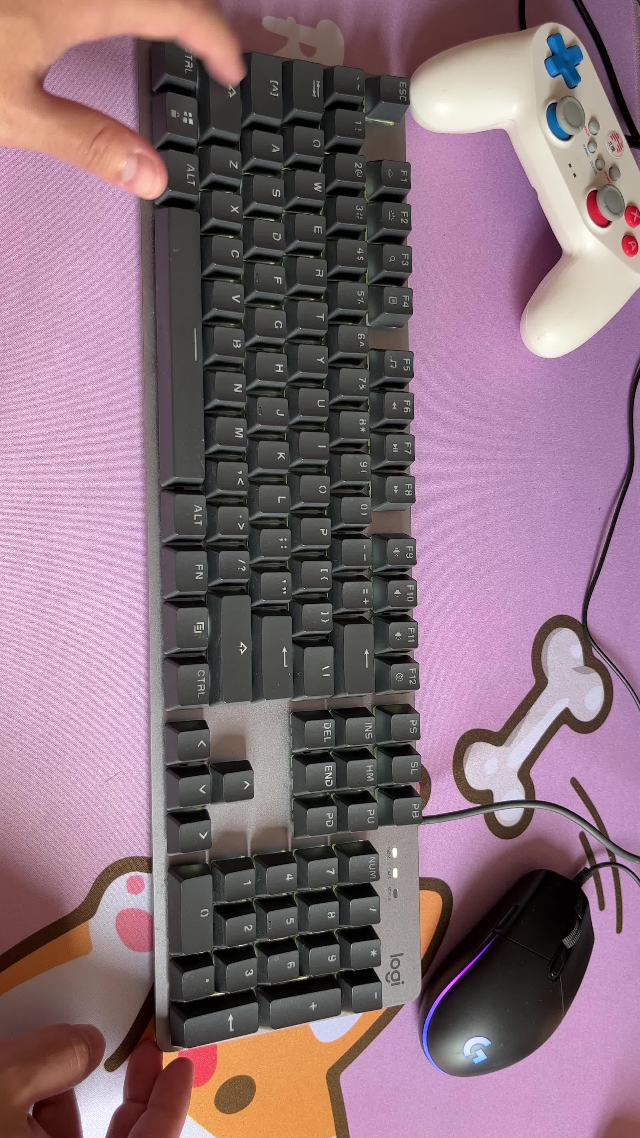 罗技K845测评|双十一最值得入手的机械键盘|文附4K高清图片与视频