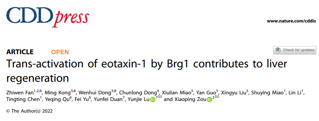 Cell Death Dis︱邹晓平/陆云杰团队合作发现肝再生新机制 - 知乎