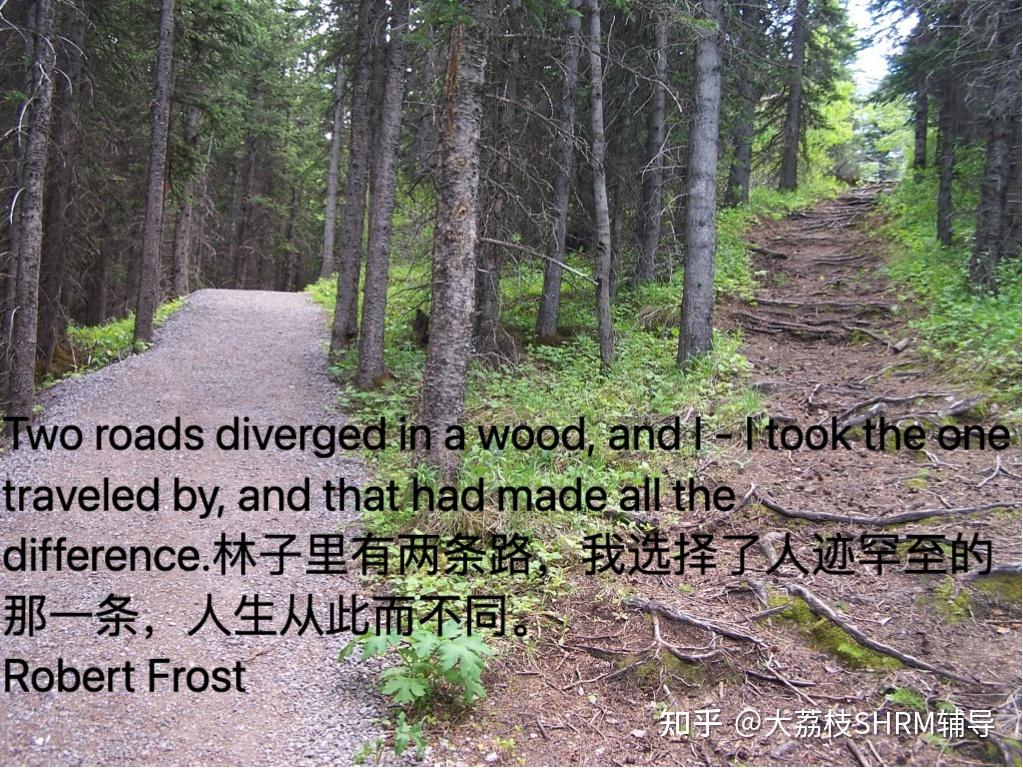 选择一条难而正确的路：from Well Traveled Road To Less Travled Road 知乎 