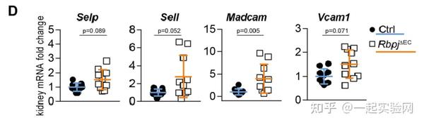 血管内皮notch信号的缺失促进三级淋巴结构自发形成 - 知乎