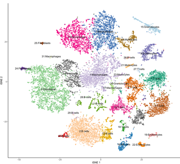 实用指南丨scATAC 基本分析思路介绍 - 知乎
