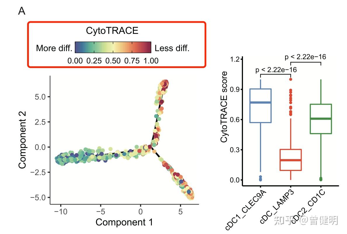 使用CytoTRACE来辅助monocle确定发育顺序和起始点 - 知乎