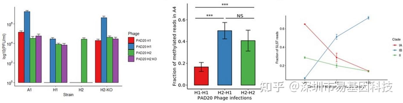 易基因｜Oxford Nanopore Technologies（ONT）全基因组甲基化测序服务 - 深圳市易基因科技 - 博客园