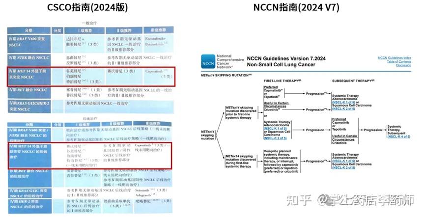 非小细胞肺癌（NSCLC）9大驱动基因：CSCO vs NCCN 治疗指南策略对比分析！附上市及医保报销条件 - 知乎