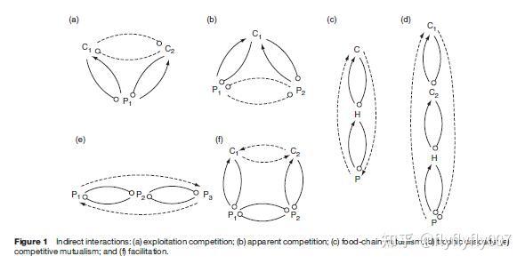 Apparent competition - 知乎