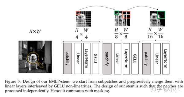 Transformer（二十二）Three Things about ViT - 知乎