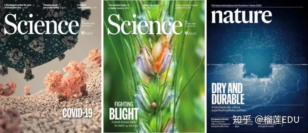 Nature & Science 论文年度盘点，这些大学发文最多 - 知乎