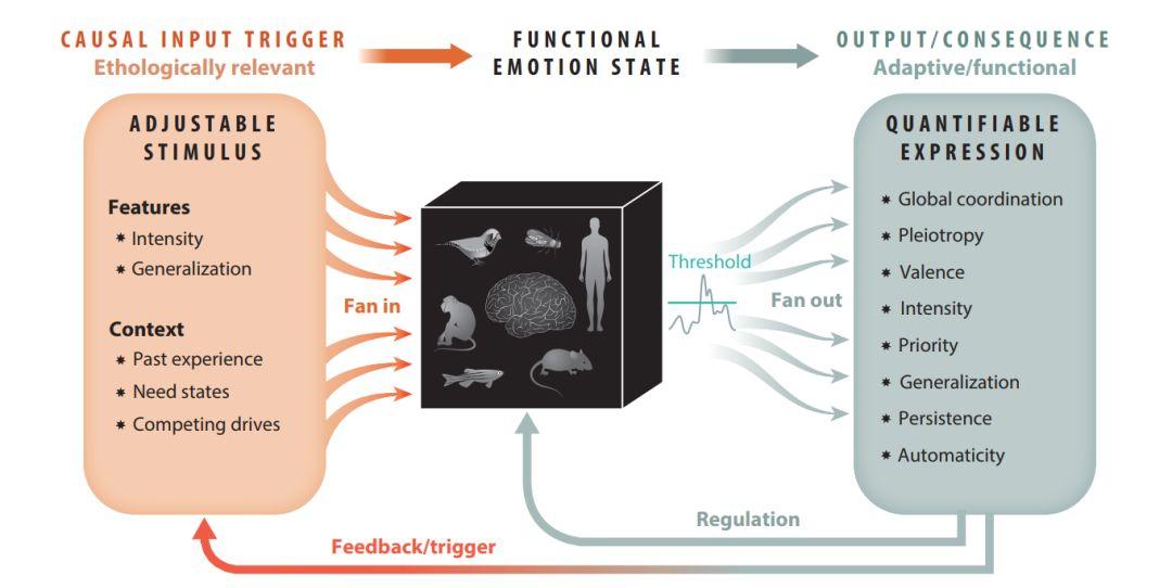 Ann Rev Neurosci最新综述：全面总结七种情绪的神经环路机制 - 知乎