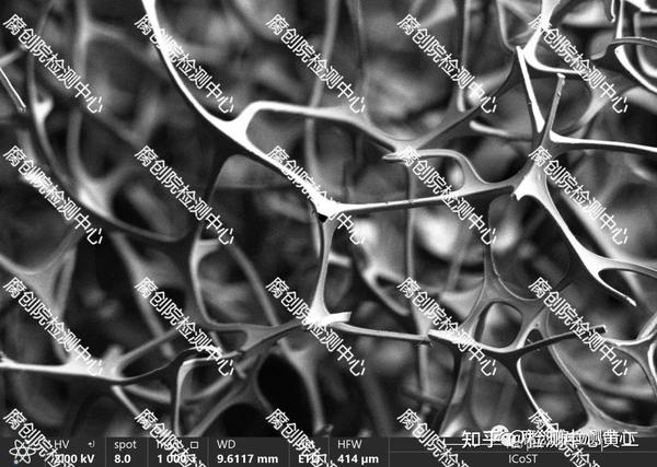 用扫描电子显微镜的低电压成像技术探秘“纳米海绵擦” - 知乎