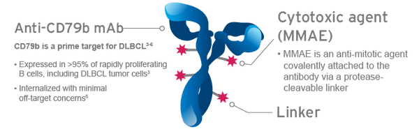 非霍奇金淋巴瘤治疗药物 ：Polivy（泊洛妥珠单抗—MMAE偶联物 ） - 知乎