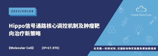 文献解读 | Hippo信号通路核心调控机制及肿瘤靶向治疗新策略 - 知乎