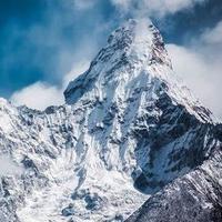 Milvus vs Elasticsearch：人工智能应用的综合分析 - 知乎