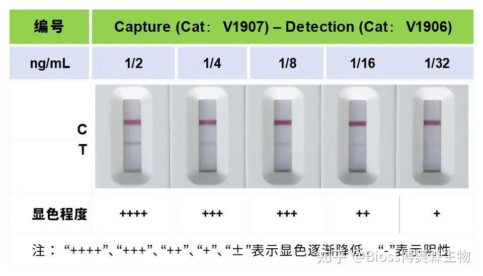 重点推荐丨高灵敏度肿瘤标志物CEA配对抗体！ - 知乎