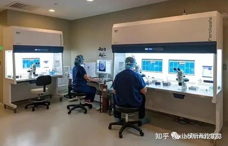 美国三代试管婴儿中，PGS和PGD应该怎么选？ - 知乎