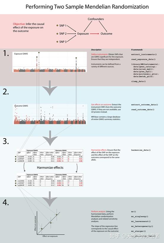 一起来学孟德尔随机化(Mendelian Randomization) - 知乎