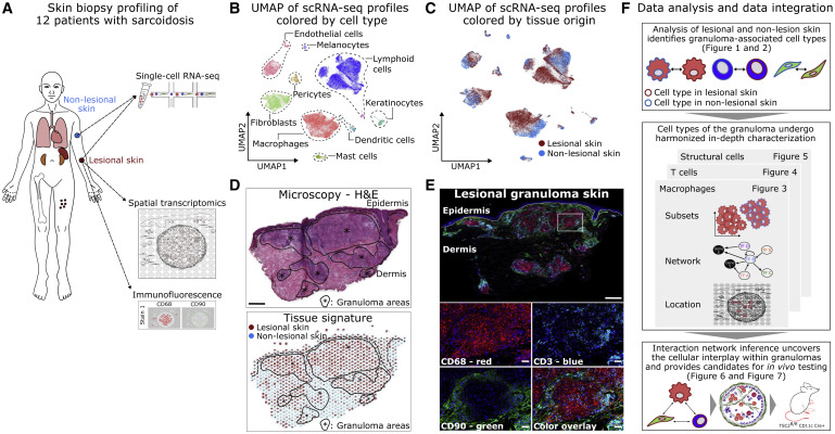 空间转录组学技术发展 - 知乎