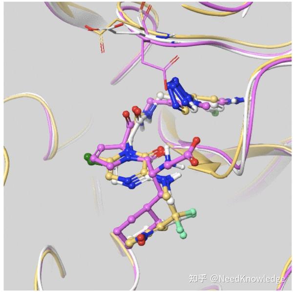 Schrödinger教程 | Cross-docking with IFD-MD - 知乎