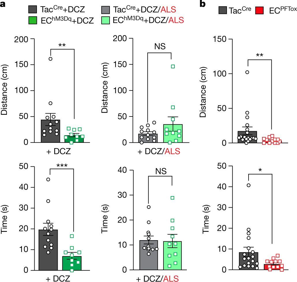 Nature：诺奖得主聚焦“脑肠轴”，内脏痛和焦虑肠道驱动神经机制 - 知乎