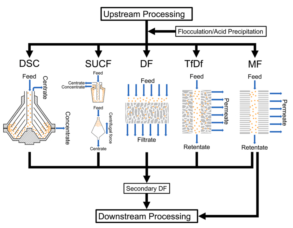小奕说药 | 细胞培养液澄清技术简介及技术选择考量 - 知乎