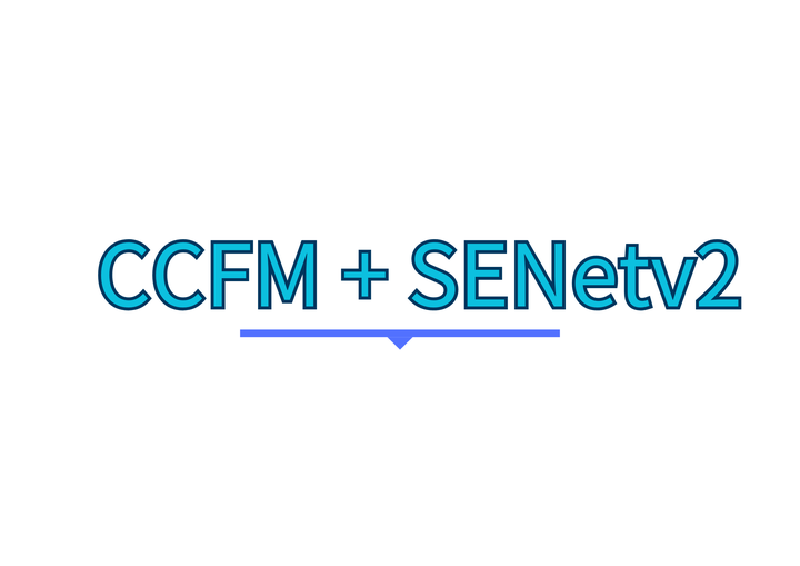 YOLOv5改进 | 融合改进篇 | 轻量化CCFM + SENetv2进行融合改进涨点 (全网独家首发) - 知乎