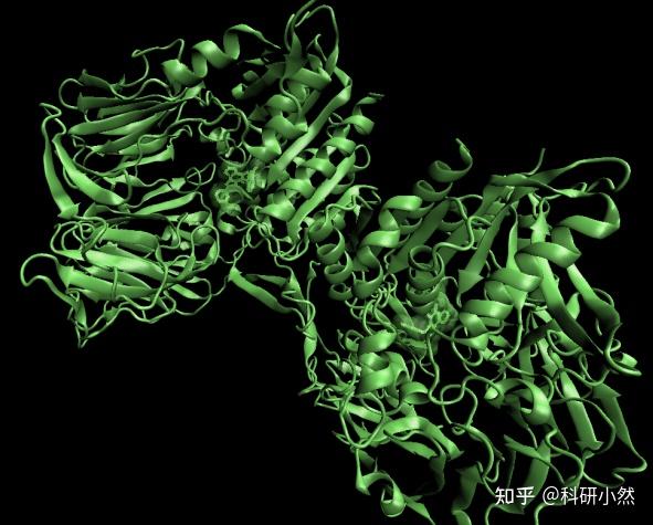 【科研干货】使用AutoDock4.2进行分子对接 - 知乎