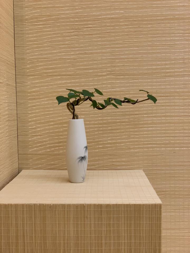 致宝贝 知乎
