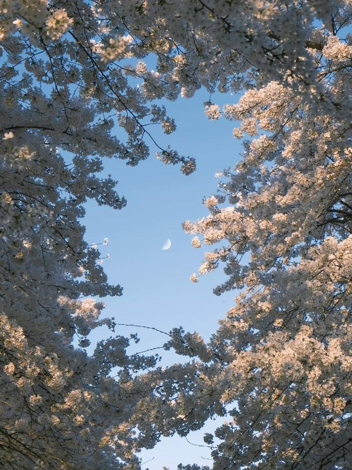 SSCI和CSSCI哪个难度大？ - 知乎