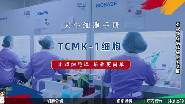 TCMK-1细胞培养，小鼠肾上皮细胞培养攻略 - 丰晖生物 - 知乎