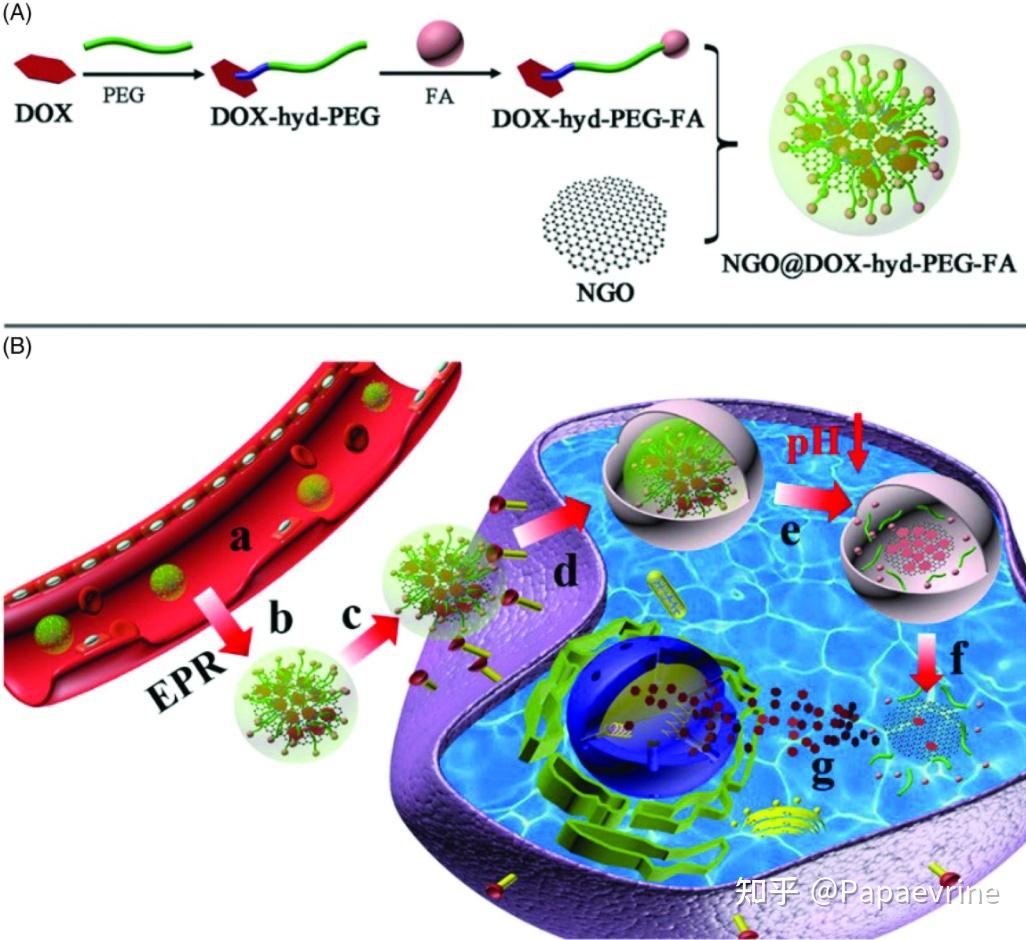 第一篇n作文章 - 知乎