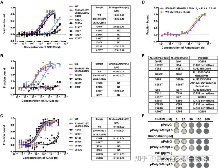 MST微量热泳动应用分享：膜蛋白与小分子互作 - 知乎