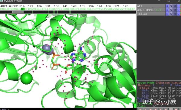 Pymol绘图教程（自用） - 知乎