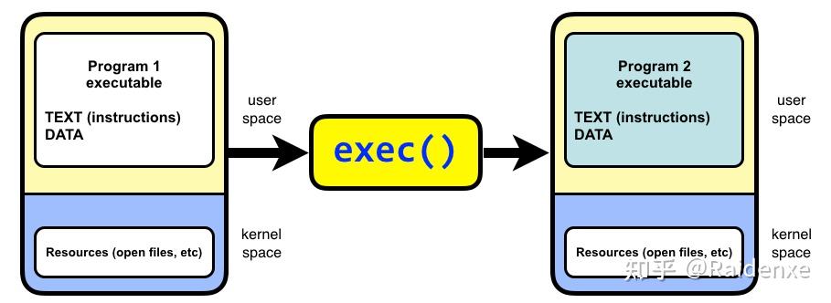 Linux下的fork和exec函数 - 知乎