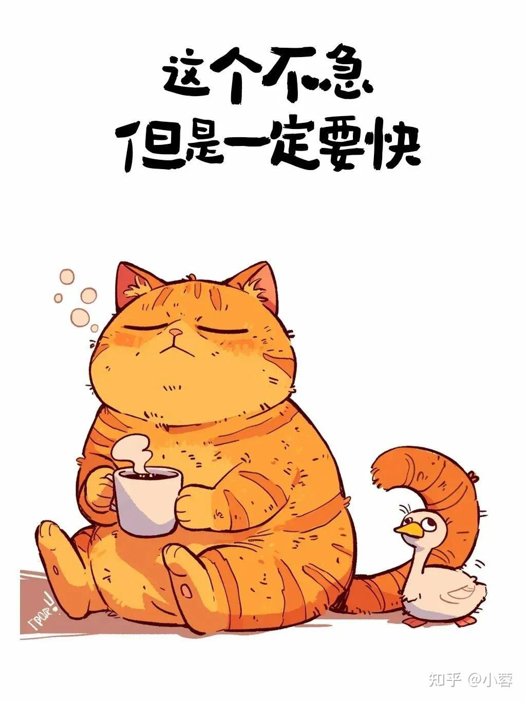 网上很火但你却不懂的梗 知乎